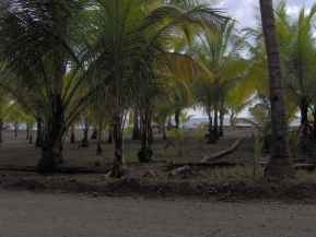 Lote frente al mar isla palo seco, parrita en Puntarenas - Terrenos | 32691