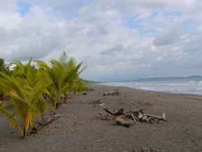 Lote frente al mar isla palo seco, parrita en Puntarenas - Terrenos | 32691