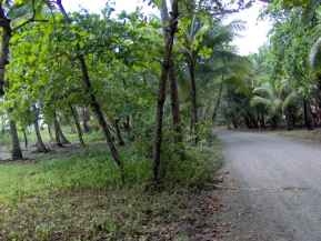 Lote frente al mar isla palo seco, parrita en Puntarenas - Terrenos | 32691