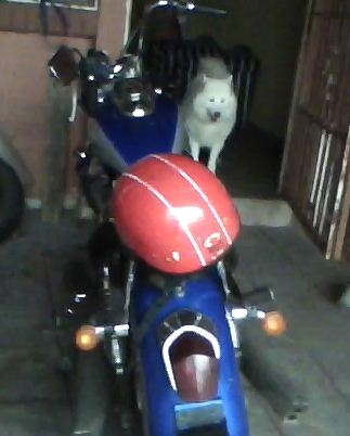 Moto estilo pandillera freedom 2009 200cc en San José - Motos | 37150