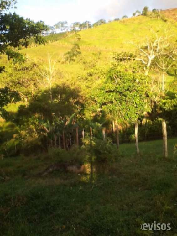 Vendo finca a 35 minutos,del centro de turrialba, en Turrialba ...